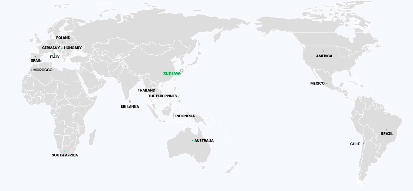 Company Profile - China Suntree Electric